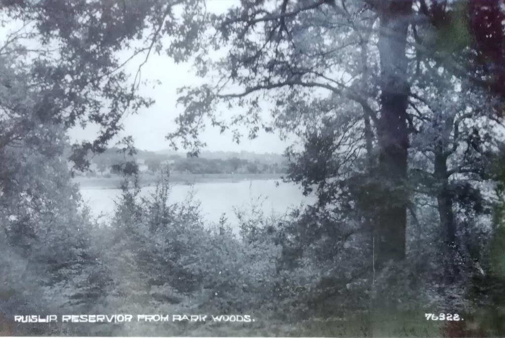 Ruislip Reservoir From Park Woods